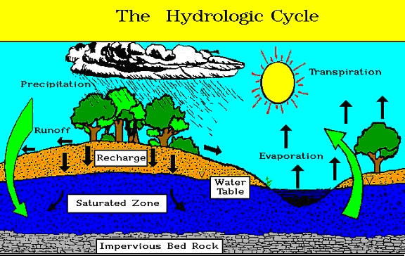 The Hydrologic Cycle