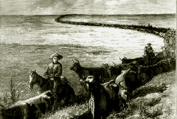 Cowboys, Lawmen and the American Frontier - AMERICAN COWBOYS and CATTLE ...