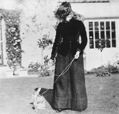 Miss Potter - THE REAL PETER RABBIT